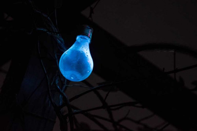 UV Fluorescence Photography - Getting Started with Ultraviolet Photos