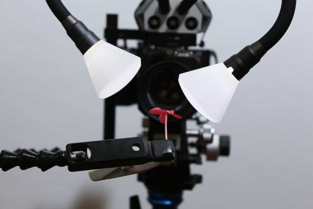 LED Macro Lighting, A Magic Paintbrush for Creative Macro Photography