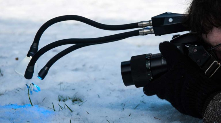 LED Macro Lighting, A Magic Paintbrush for Creative Macro Photography