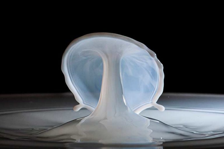 Macro Photography Project Ideas - Amazing subjects to try out at home