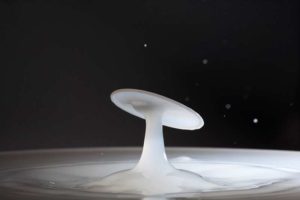 Macro Water Drop Photography with Pluto Trigger & Adaptalux Flash Arms