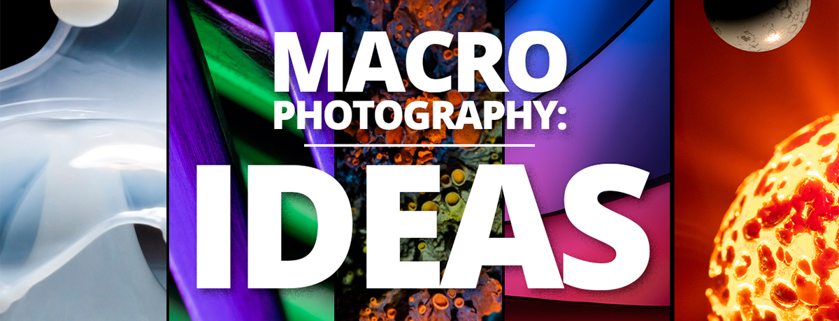Macro Photography Project Ideas - Amazing subjects to try out at home