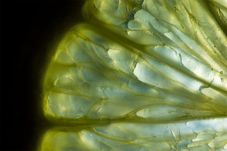 Fruit Macro Photography Tutorial - How to Photograph Fruit 🍊🍉🍋🥝