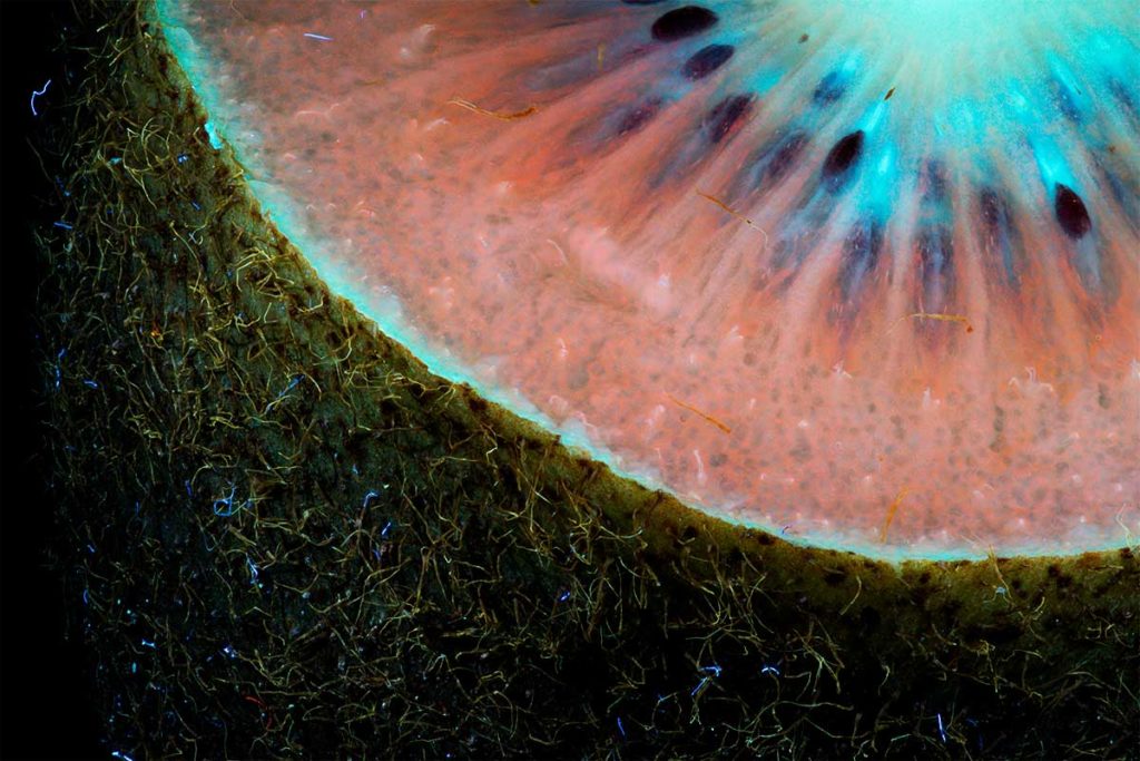 Kiwi under UV light - Photographing Kiwi Ultraviolet Flourescance