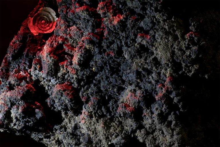 Macro Texture Photography Basics - Subject, Lighting & colour