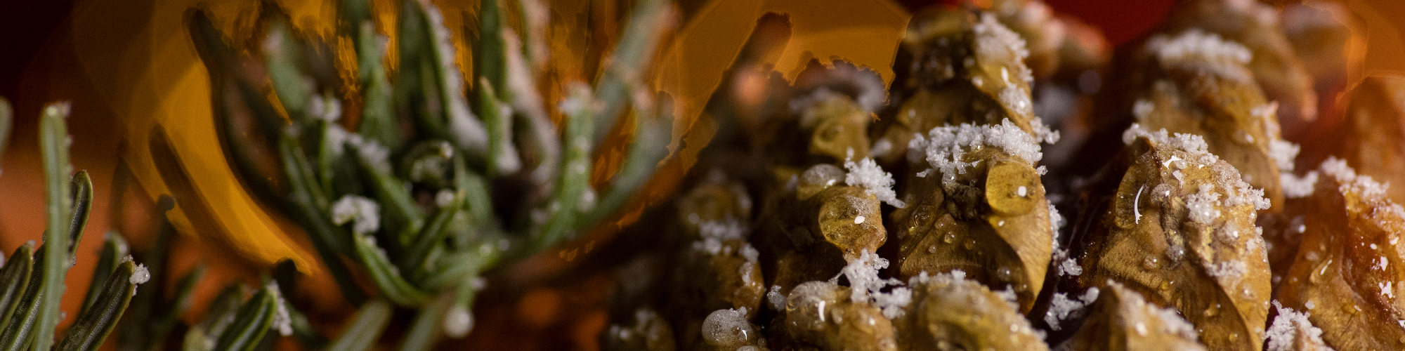 Festive photography tips that you can use at home this christmas.