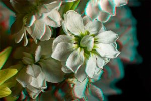 Anaglyph 3D Photography - How to create stereoscopic 3D photos!