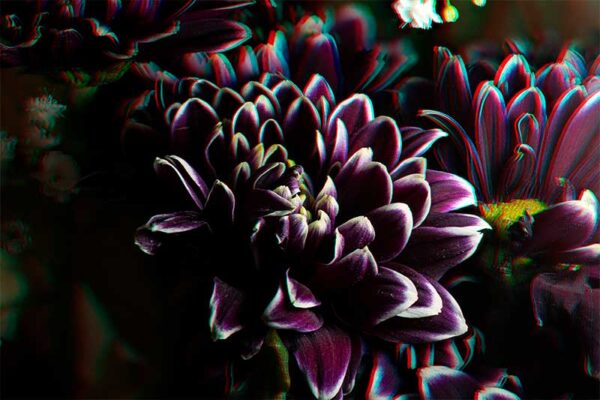 Anaglyph 3D Photography - How to create stereoscopic 3D photos!