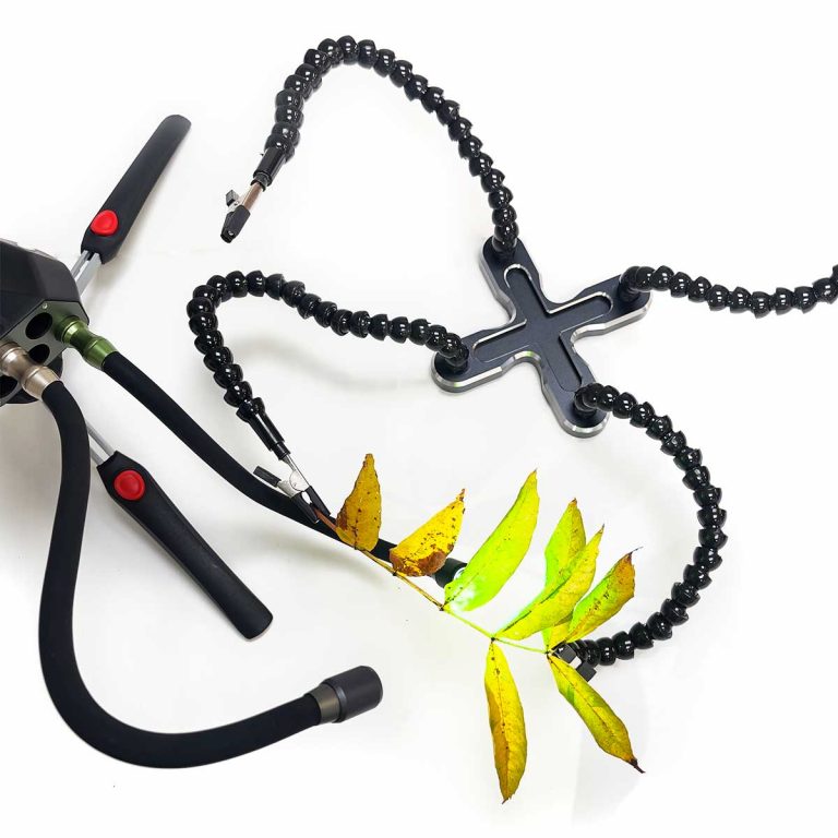 Beginner's guide to Macro Photography - Everything you need!