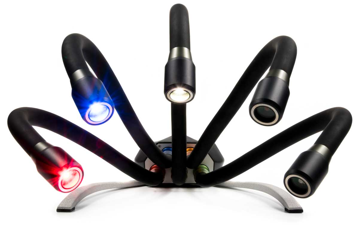 LED Macro Lighting - Flexible continuous lighting for macro photography