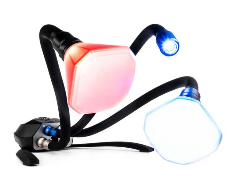 LED Macro Lighting - Flexible continuous lighting for macro photography