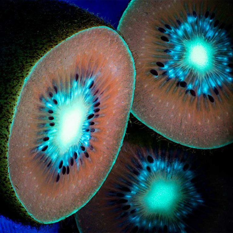 UV Macro Photography Lighting | Pure Ultraviolet light for UVIVF