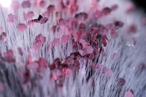 Glitter Macro Photography Tutorial - capturing glitter up close in macro!