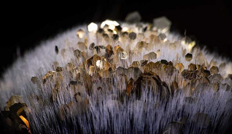 Glitter Macro Photography Tutorial - capturing glitter up close in macro!