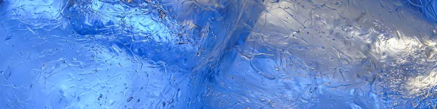 Adaptalux Blog - Macro photography ideas, inspiration and tutorials