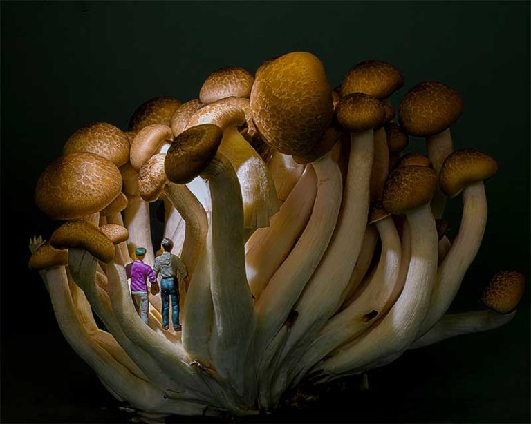 Jacki Gordon - How Lockdown inspired my miniature photography.