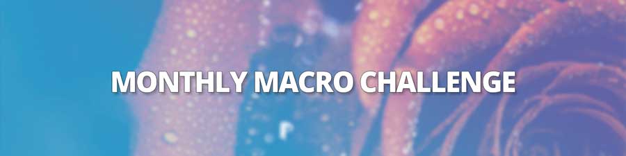 Adaptalux - Macro photography products inspiration and tutorials