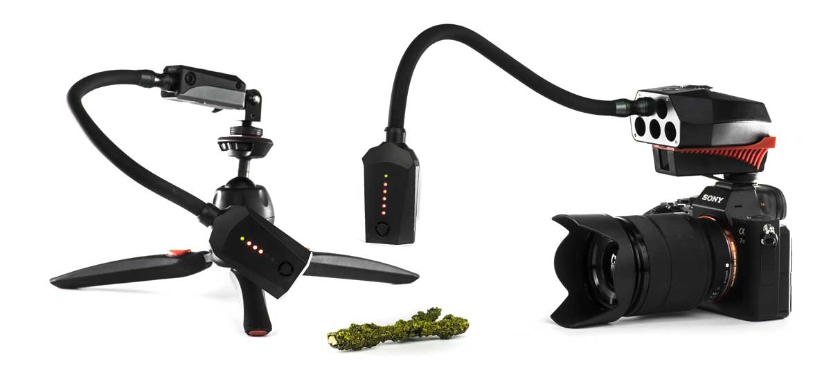 Xenon flash lighting for macro photography - Adaptalux Studio