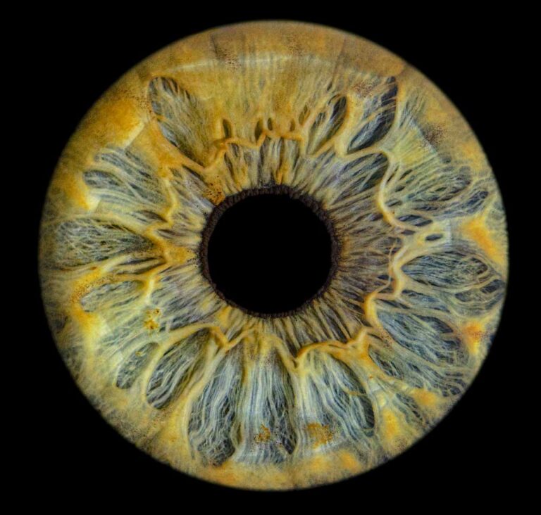 Adaptalux Showcase - A gallery created using Adaptalux Lighting