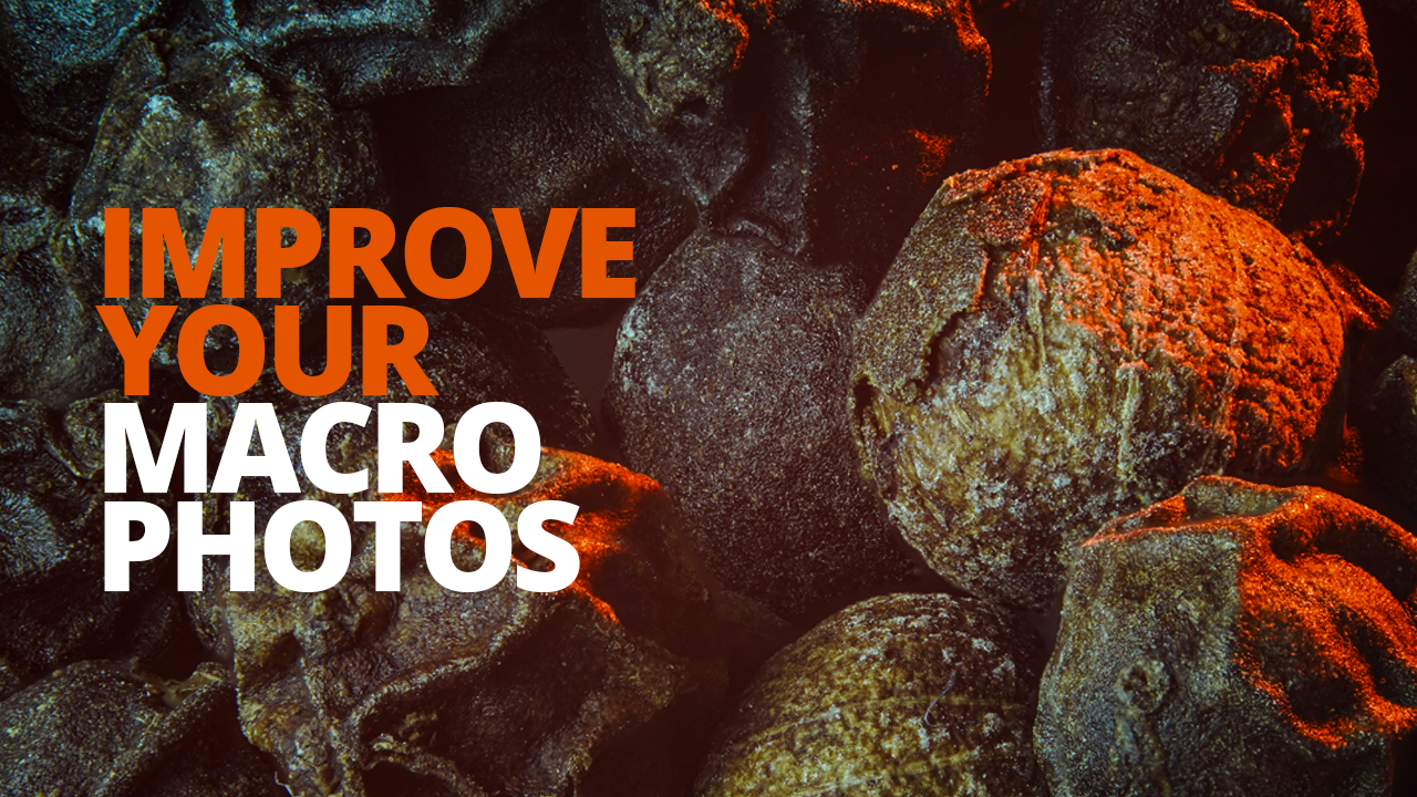 Improve your macro photography at home with these easy tips!