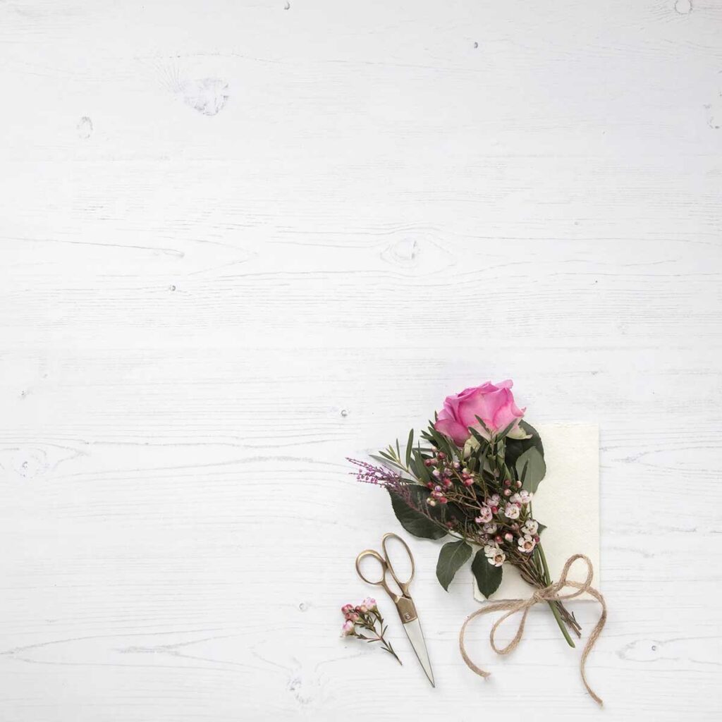 Whitewashed - Photo Boards Photography Backdrop