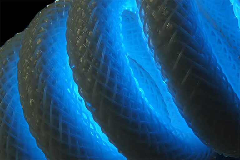 How to use macro photography lighting to create abstract art!