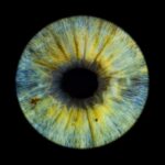 Professional eye photography tutorial | Iris photos with no reflection