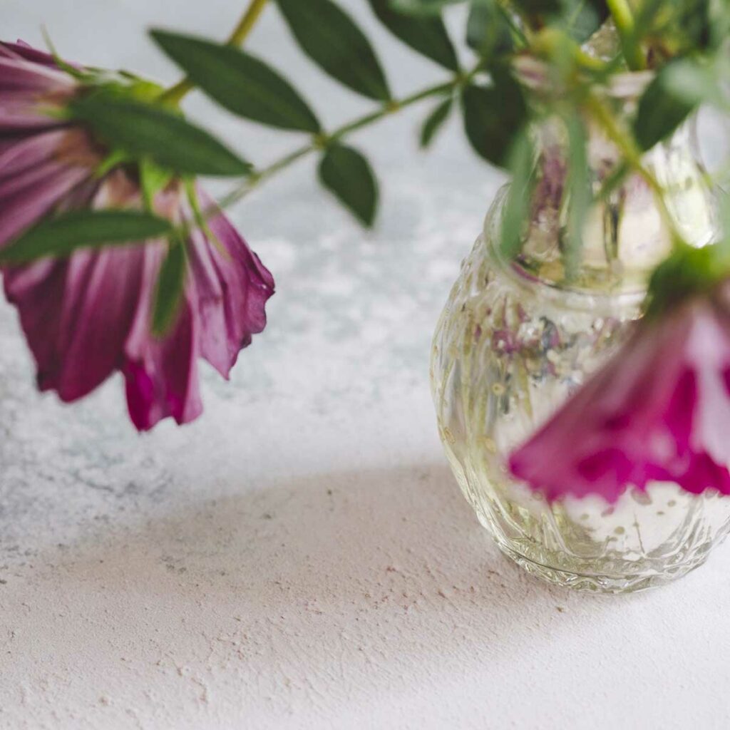 Putty - Photo Boards Photography Backdrop