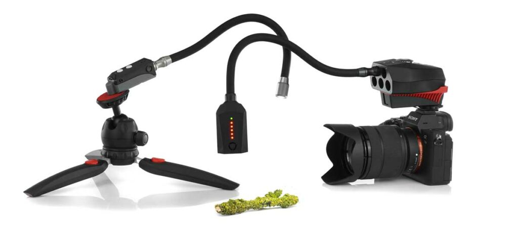 Adaptalux Studio - The Complete Macro Photography Lighting System