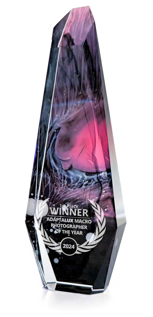 Adaptalux Macro Photography Competition [AMPA 2024]