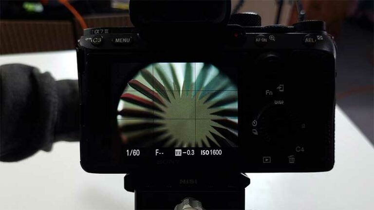 Beginner's guide to Macro Photography - Everything you need!