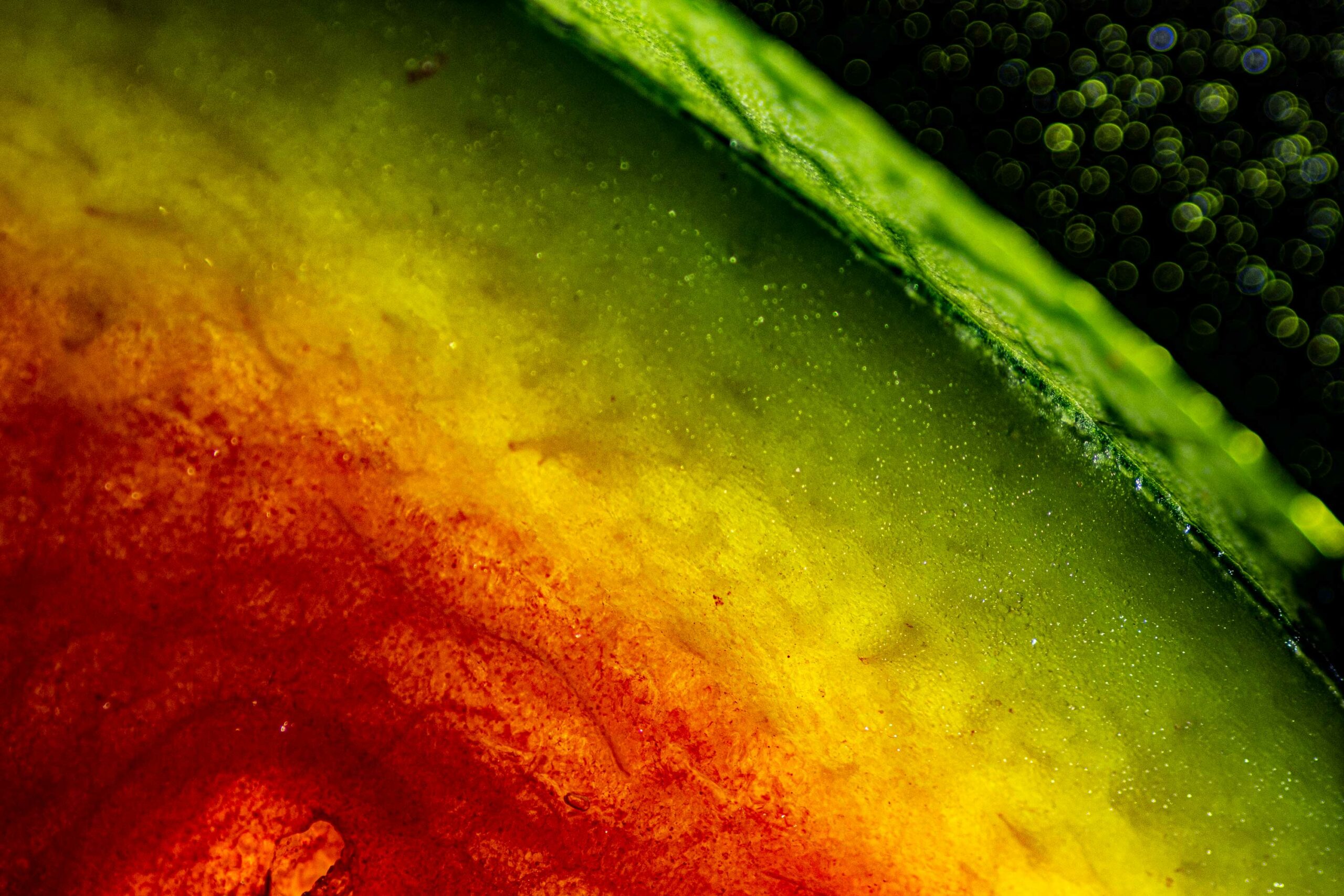 Adaptalux Macro Photography Lighting