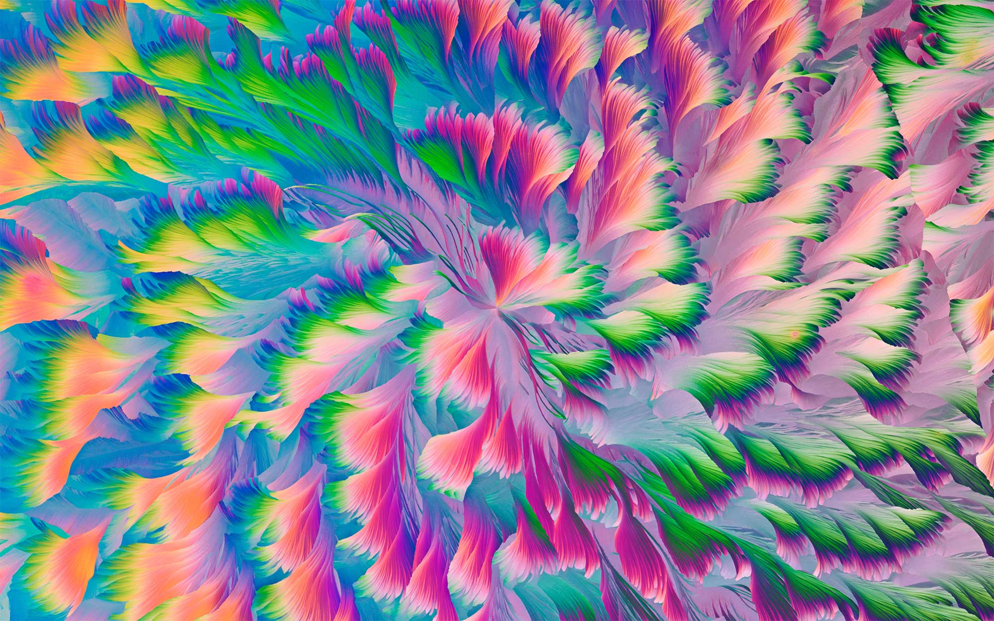 Adaptalux Macro Photography Competition [AMPA 2025]