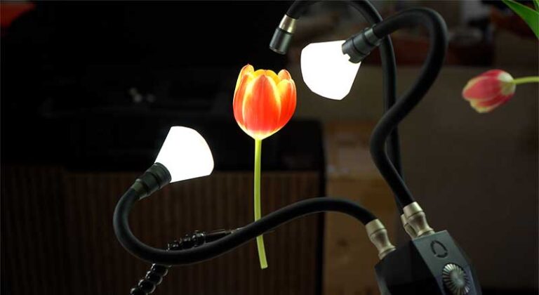 Simple Flower Photography at Home: A Step-by-Step Guide