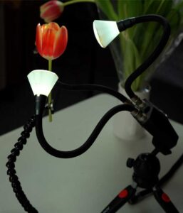 Simple Flower Photography at Home: A Step-by-Step Guide