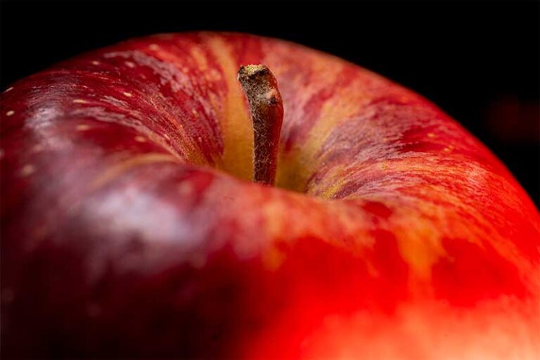 Still Life Photography Lighting: A Simple Tutorial for Dramatic Shots