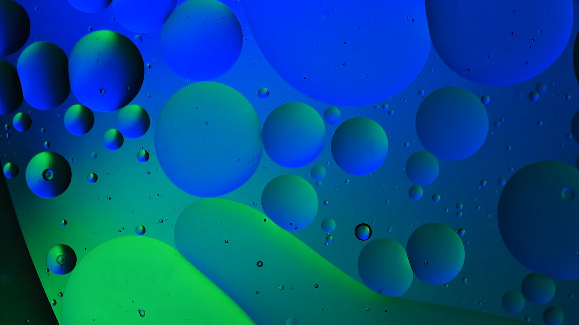 LED Macro Lighting - Flexible continuous lighting for macro photography